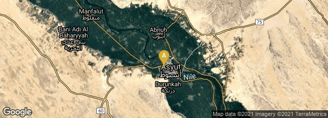 The Cologne Codex Mani, the Smallest Codex Known from Antiquity ...